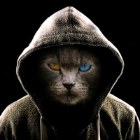 Nashtarr - 歌单 - 网易云音乐